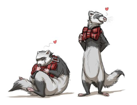 The Top 10 Most Unique Furry Species - Fursonafy
