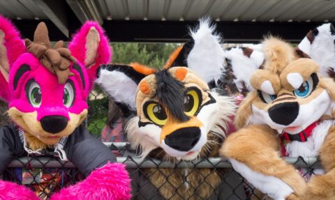 Should I Buy My Fursuit From More Fur Less? - Fursonafy