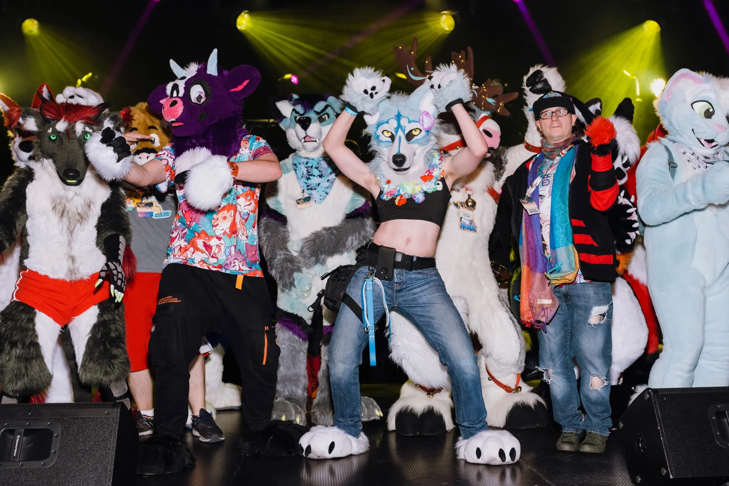 A Guide To Attending Your First Midwest FurFest - Fursonafy