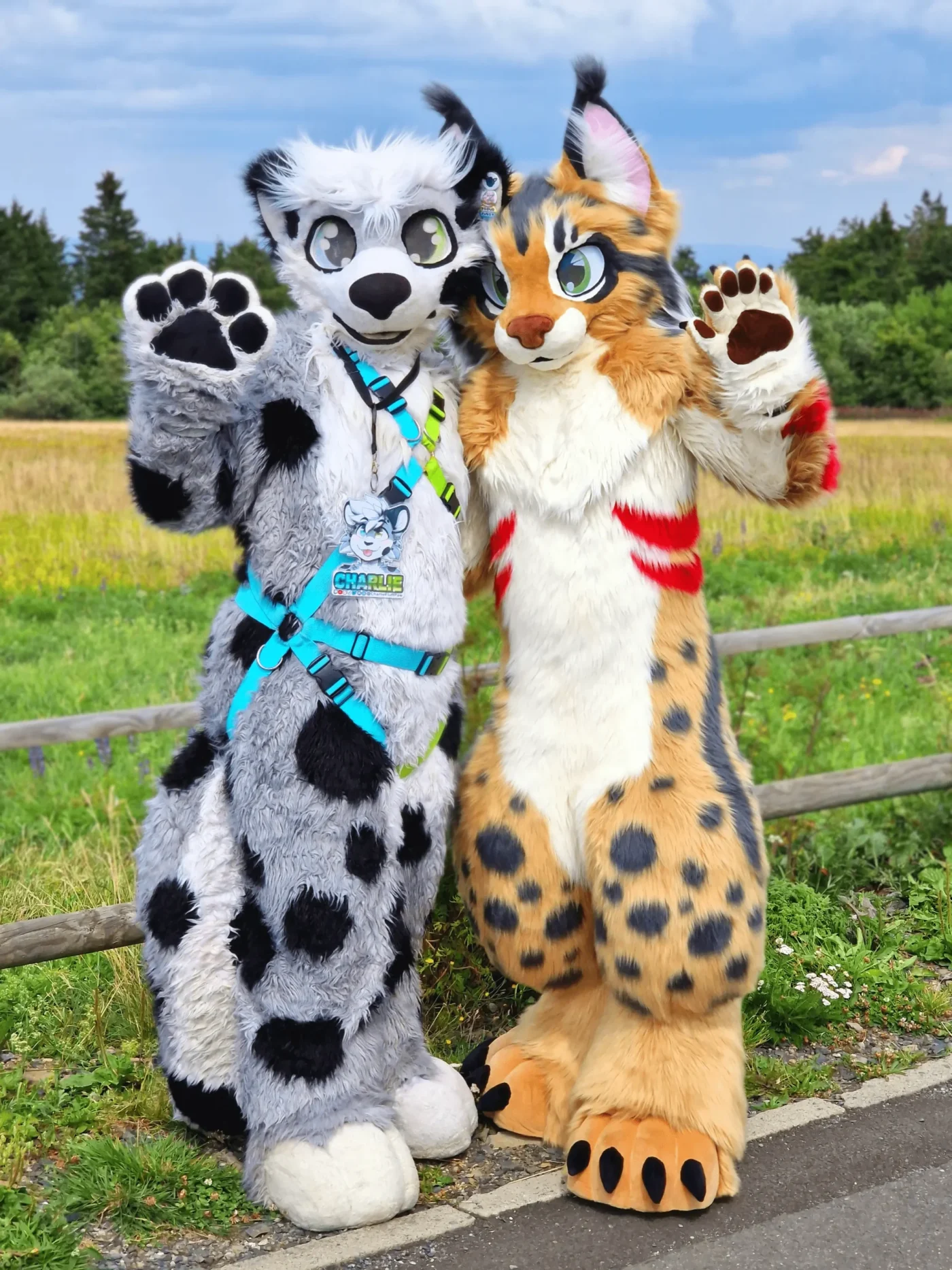 Therians vs Furries: What's the Difference? - Fursonafy
